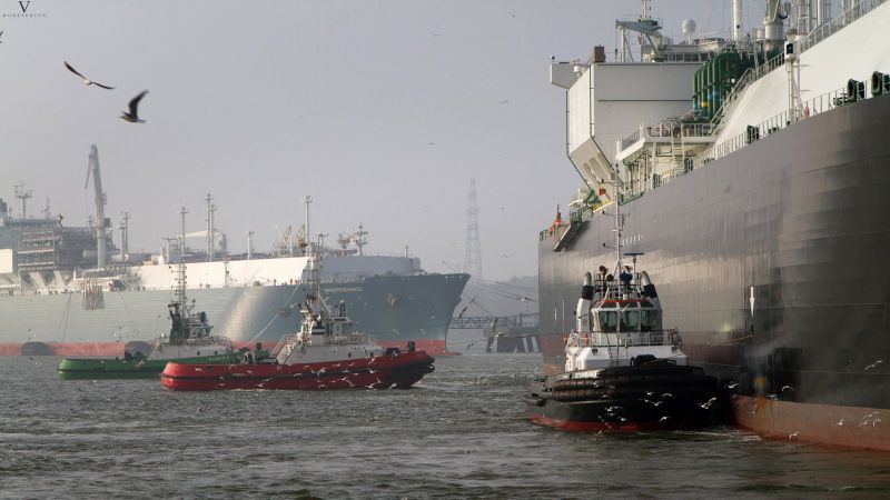 Review of cargo handling in Klaipeda seaport, at Butingės terminal and ...